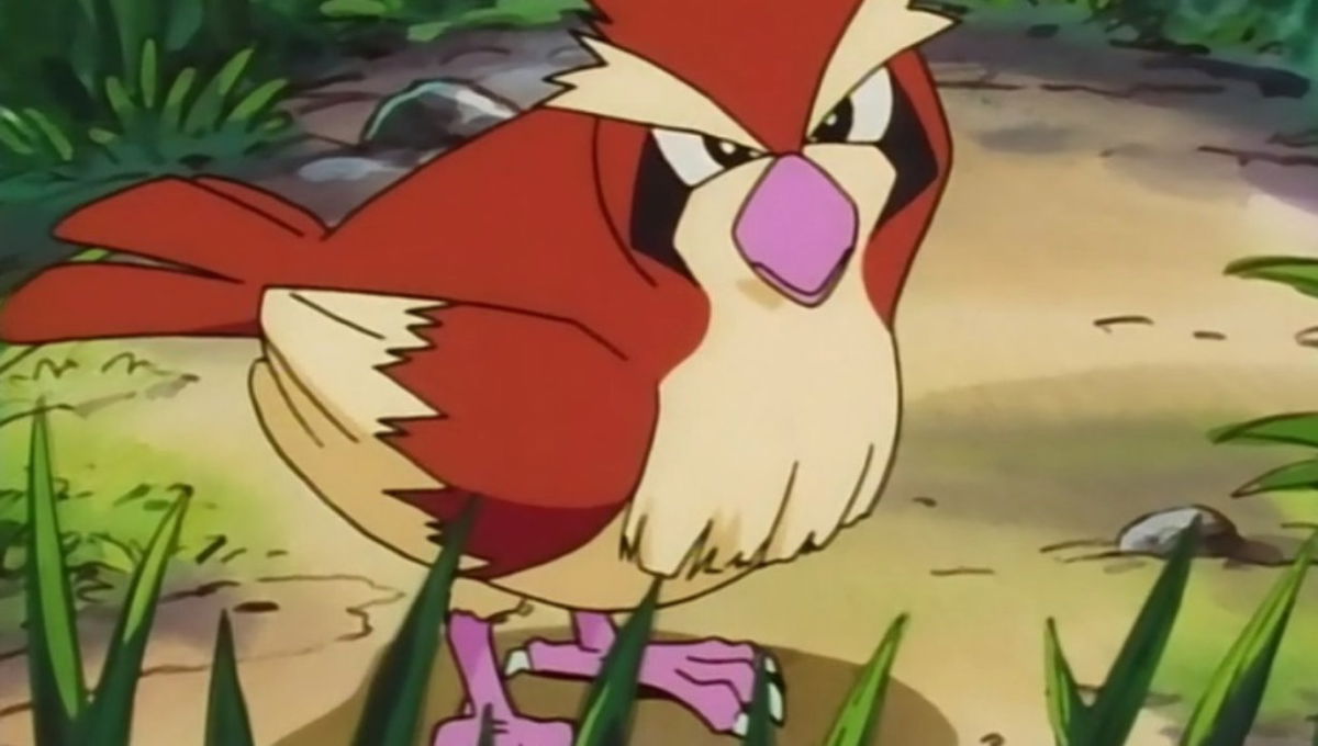 Un jugador encuentra al Pokémon Pidgey en la vida real