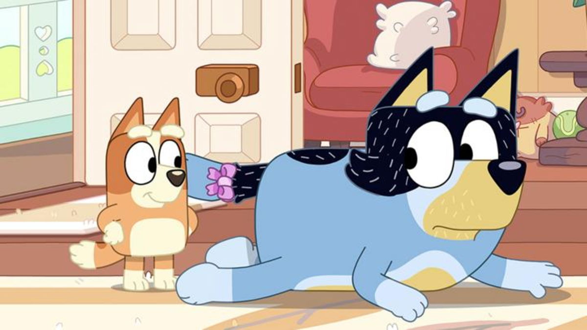 Bluey también conquista a los perros por razones científicas