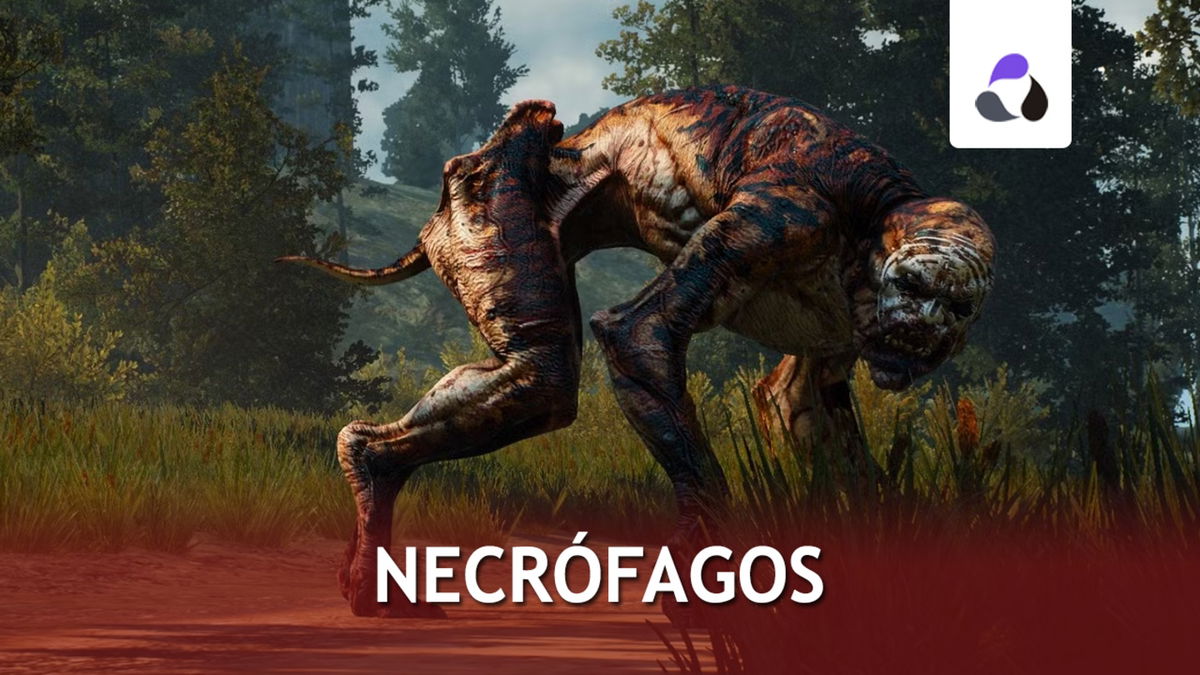 Todos los tipos de necrófagos y cómo derrotarlos en The Witcher 3: Wild ...